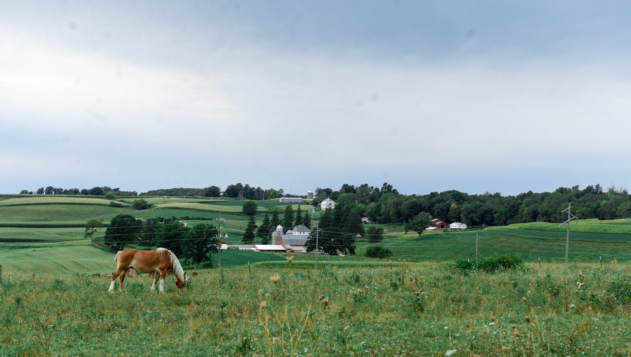 Home - Village of Cashton