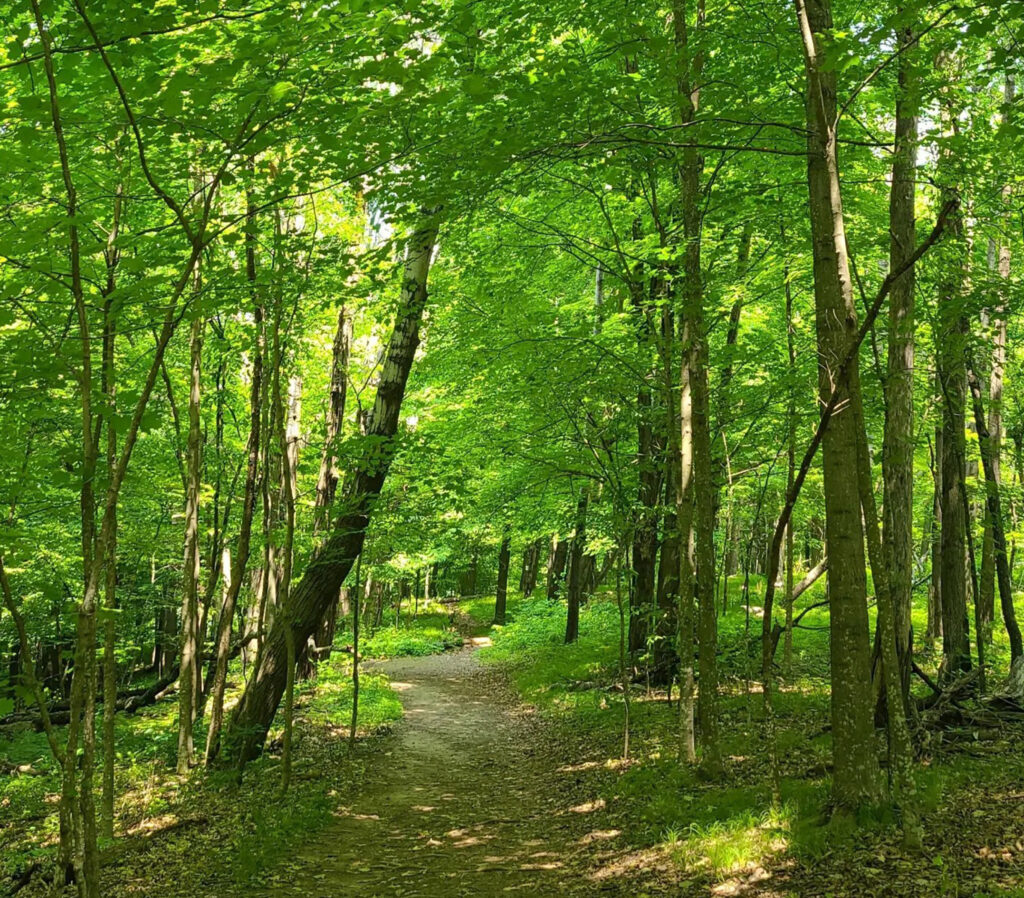 Things To Do - Village of Cashton